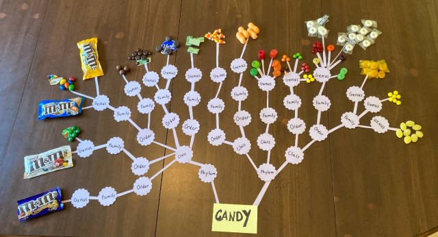 The beginning of the academic year is upon us! – Out of the Blue (Ocean)