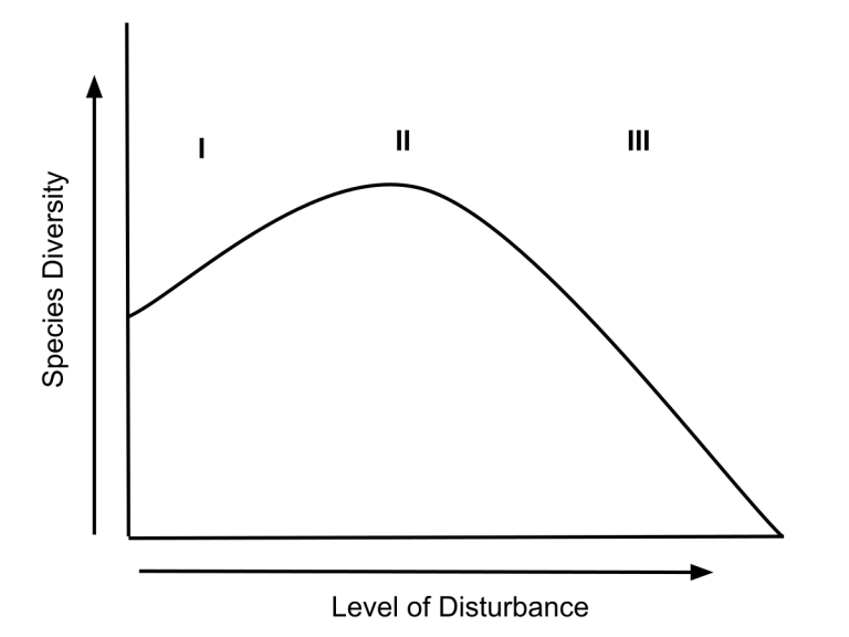 Ecology Explained: The Intermediate Disturbance Hypothesis – Out of the ...